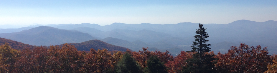 Open lab positions - Bergman Lab